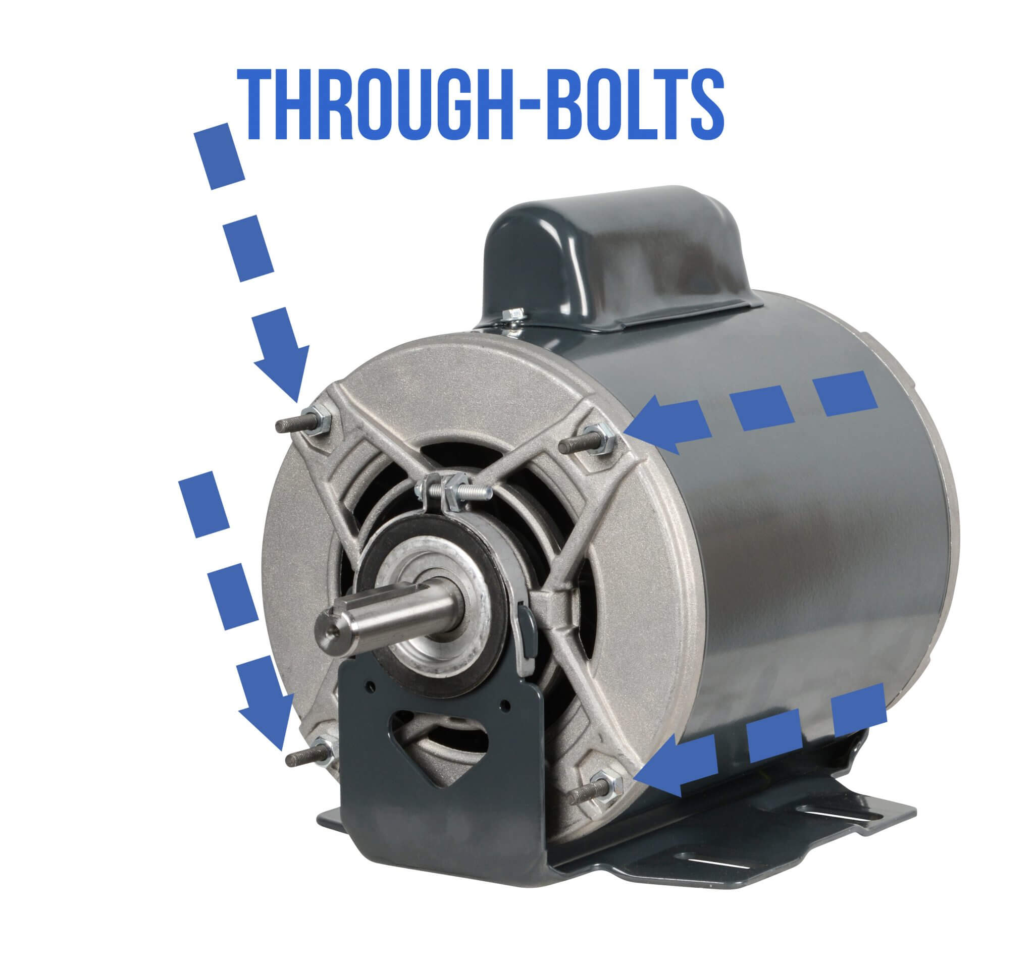 Multi-Purpose Motors | Library.AutomationDirect.com