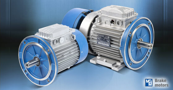 M.G.M. Electric IEC Motors and Brake Motors