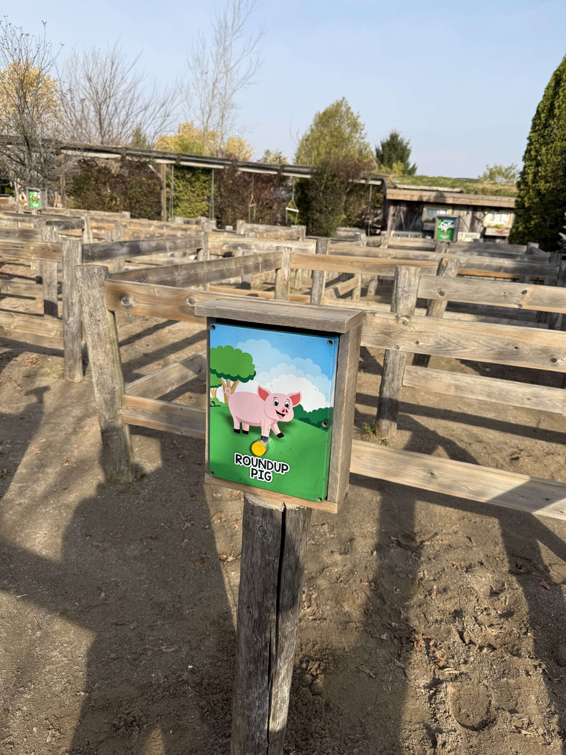 Cultivating Curiosity with Automated Edu-tainment